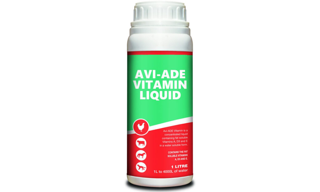 Avi-Ade Vitamin Liquid – Ashkan